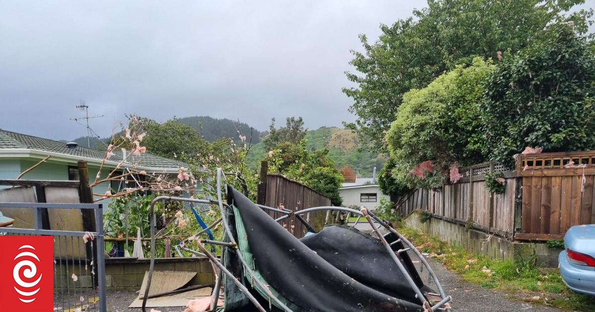 The Pre-Panel with Julie Woods and Mark Knoff-Thomas | RNZ