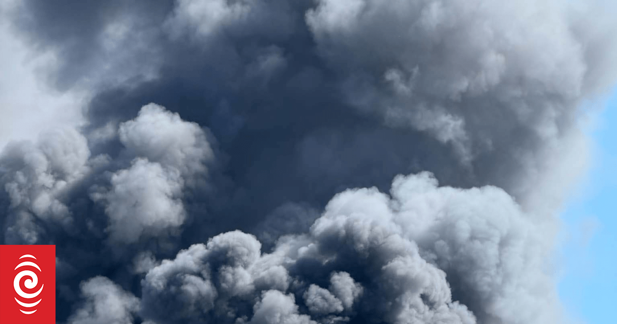 Dozens of firefighters battle blaze at Hamilton business | RNZ News