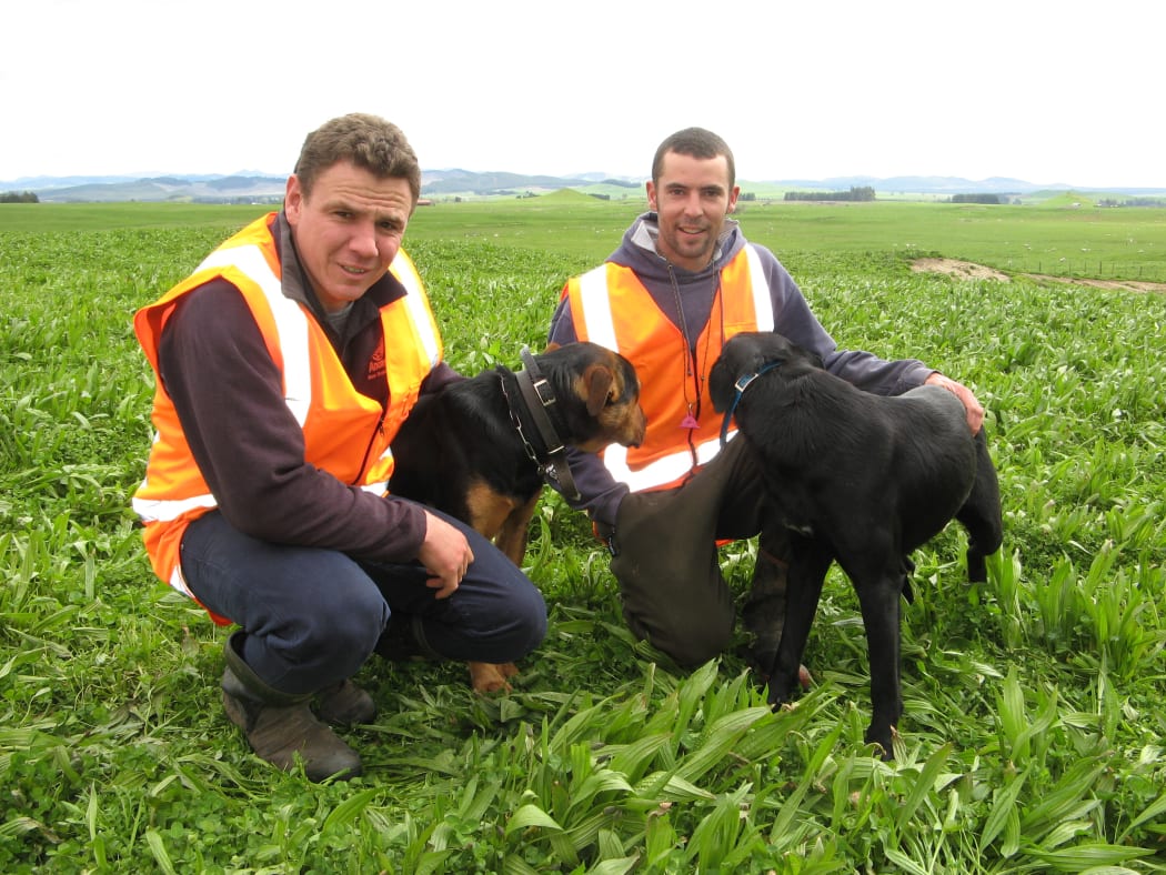 Running Rangitaiki | RNZ