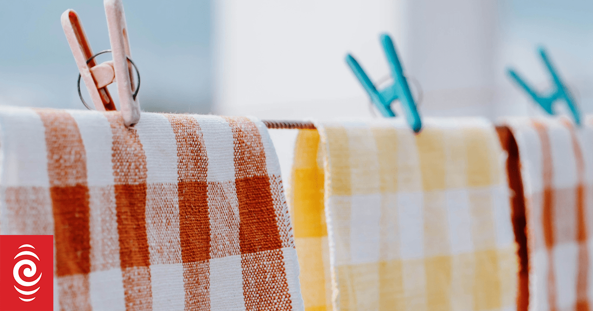 Comendo mc mirela erome therefore at the time that I