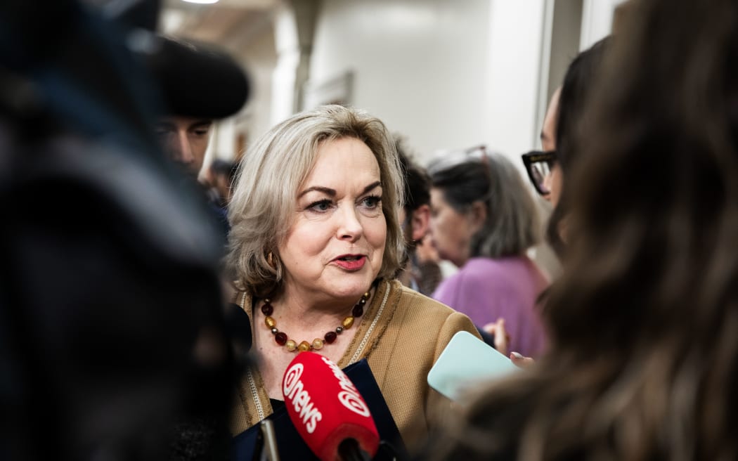 Drones among NZ-made tech to aid Defence Force, Judith Collins says ...