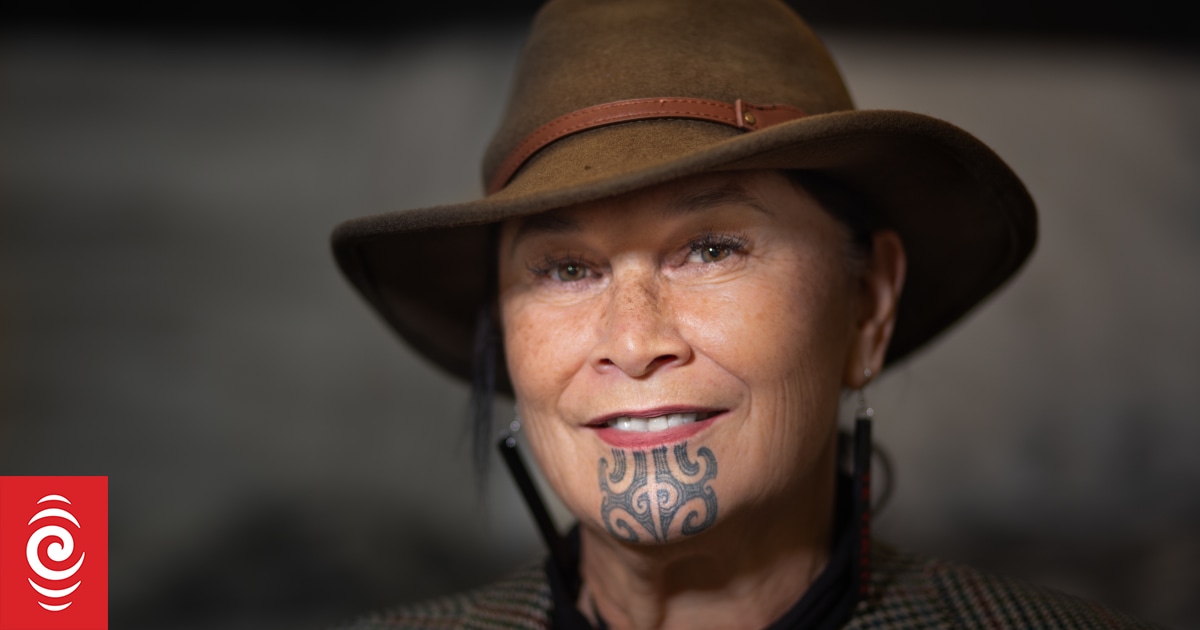 Te Pāti Māori look to pick up more seats with special votes | RNZ