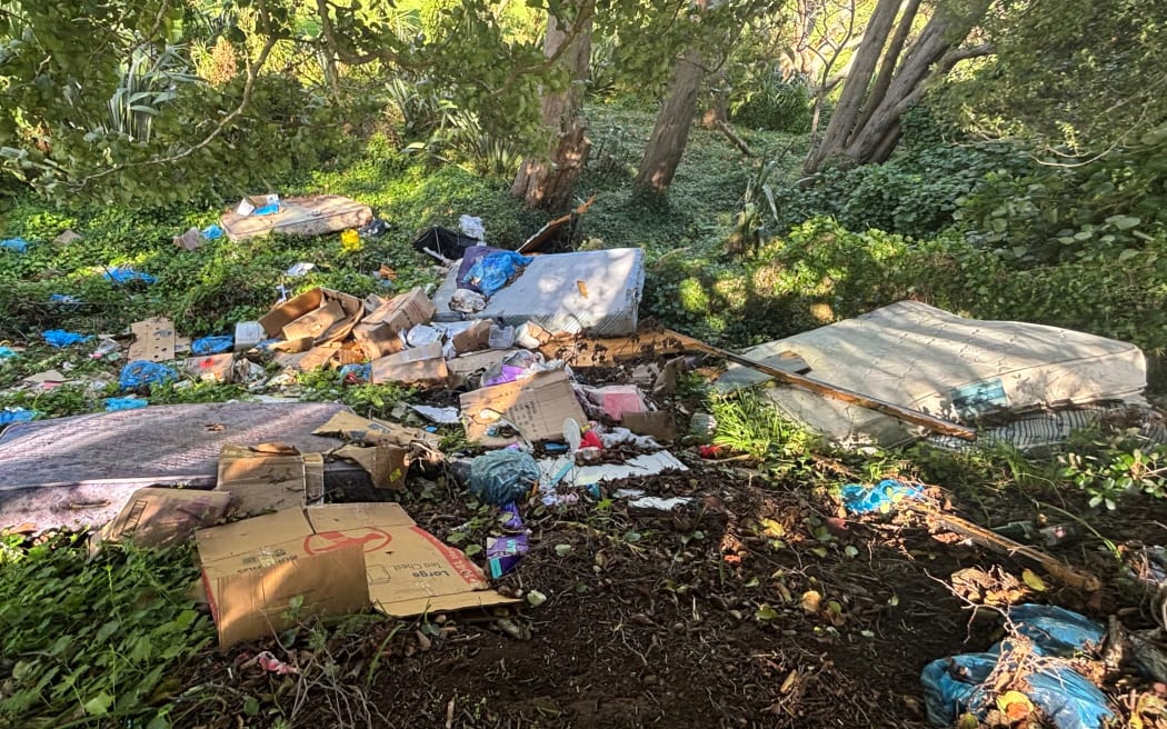 NZ's illegal dumping problem: mattresses, couches, cardboard boxes ...