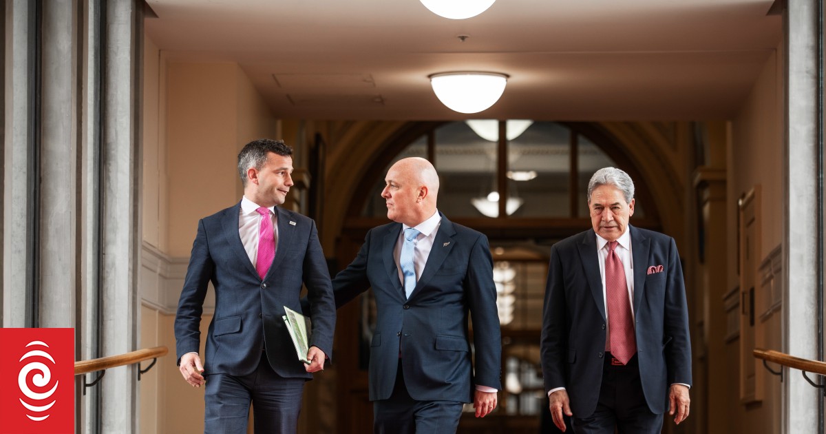 Public engagement through Treaty Principles Bill submissions 'very ...