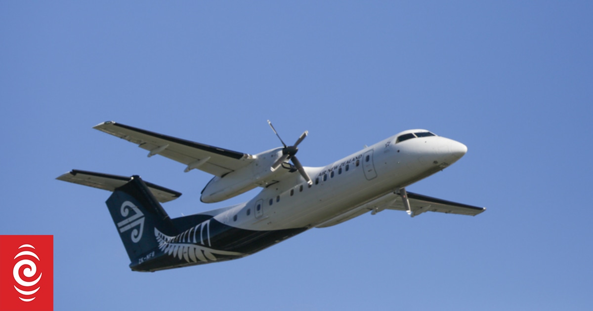 Pilot's poor communication blamed for 'panic' during landing | RNZ News