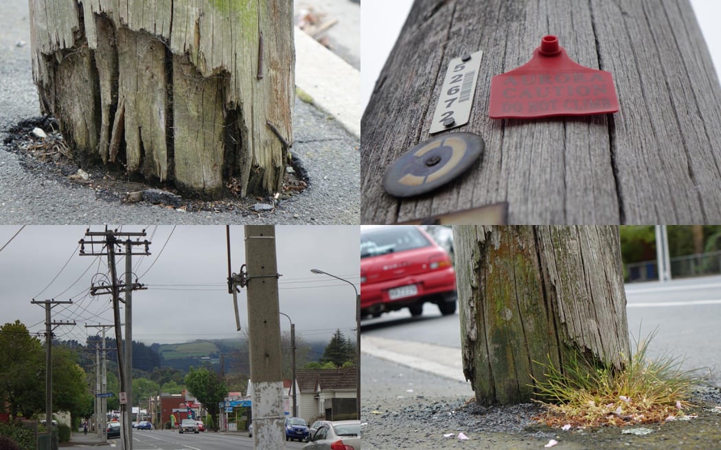 Mayor demands answers on rotting power poles | RNZ News