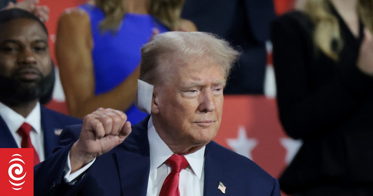 Donald Trump says he had 'very good call' with Ukraine's Zelensky, pledges to end war | RNZ News