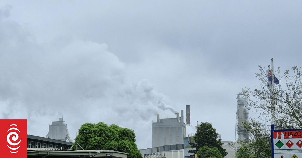 Kinleith Mill to halt paper production next year, with 230 jobs on the ...