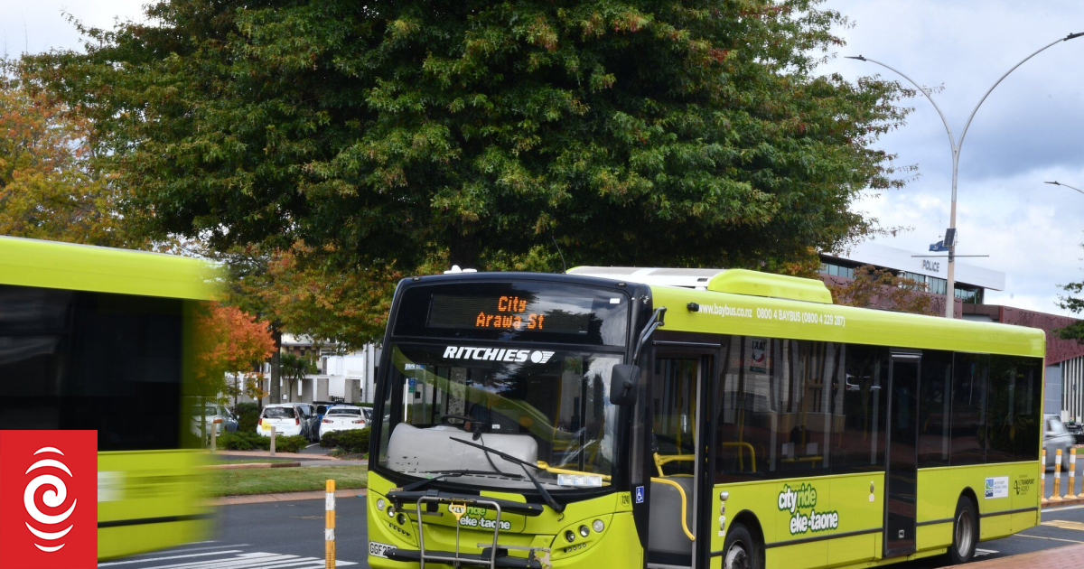 Bay of Plenty bus fares set for 10% increase | RNZ News