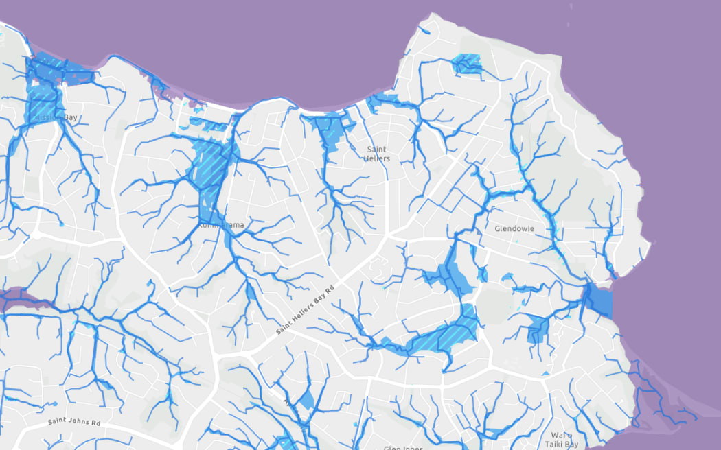 Auckland resident contests council's 'broad brush model' for flooding ...