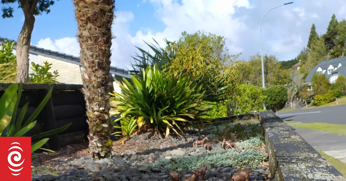 The Pre-Panel Georgie Stylianou and Selwyn Manning | RNZ