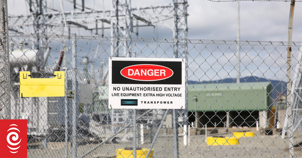 Cat that caused power cut got into 'worst possible' substation site ...