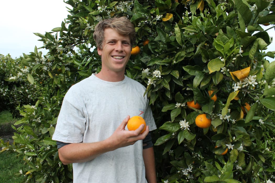 The 90s File - Sam Tietjen | RNZ