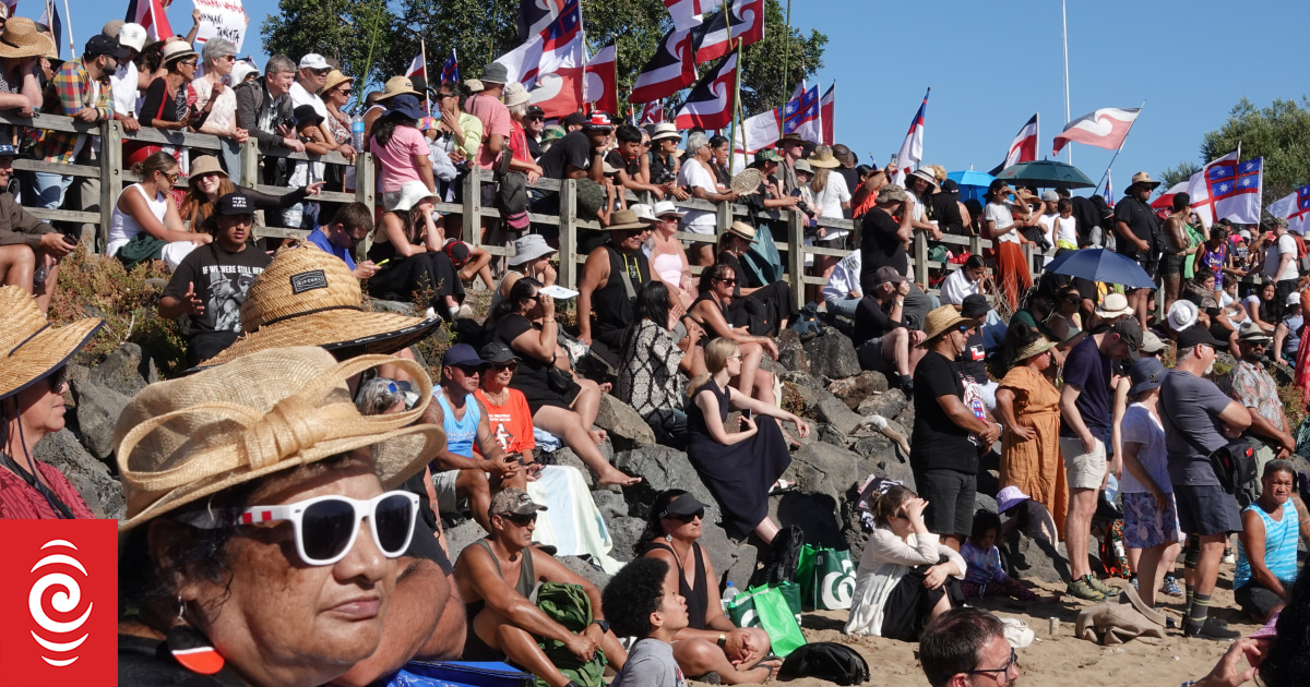 Waitangi Day 2024: Thousands of visitors, one clear message | RNZ News