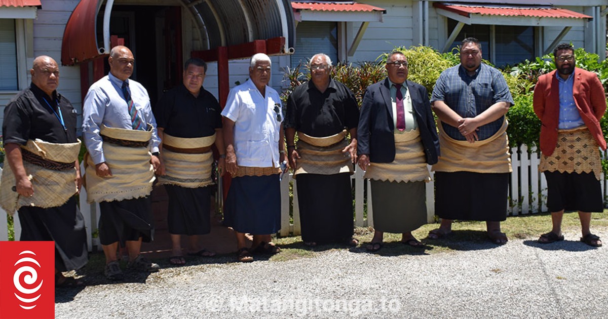 Twelve new MPs in Tonga election - but no women elected | RNZ News