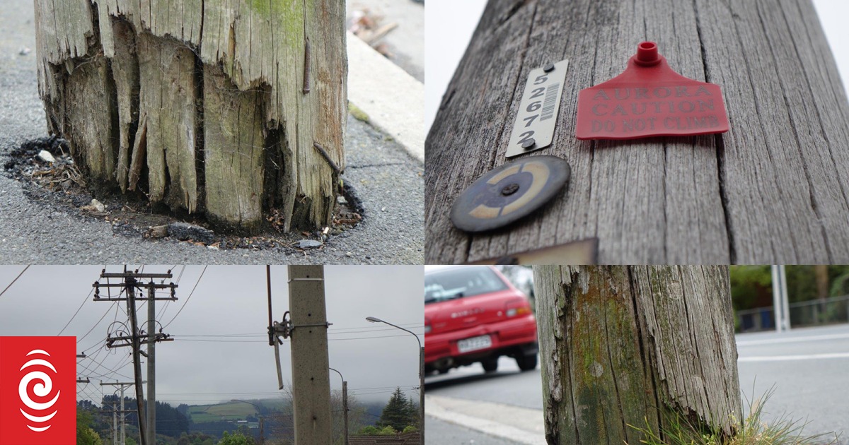 Dunedin's Aurora Energy to take on Delta workers | RNZ News