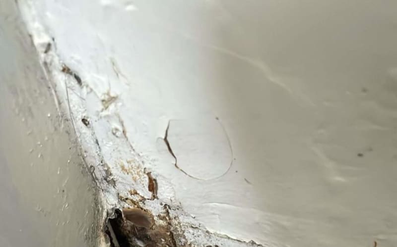 Flatmates battle to get compensation awarded for living in mouldy home ...