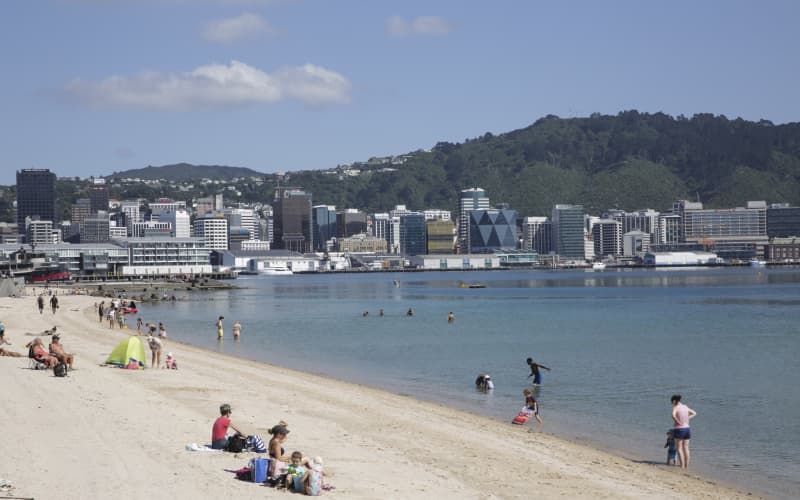 NZ's 10th warmest year on record: What we can learn from 2024 climate ...