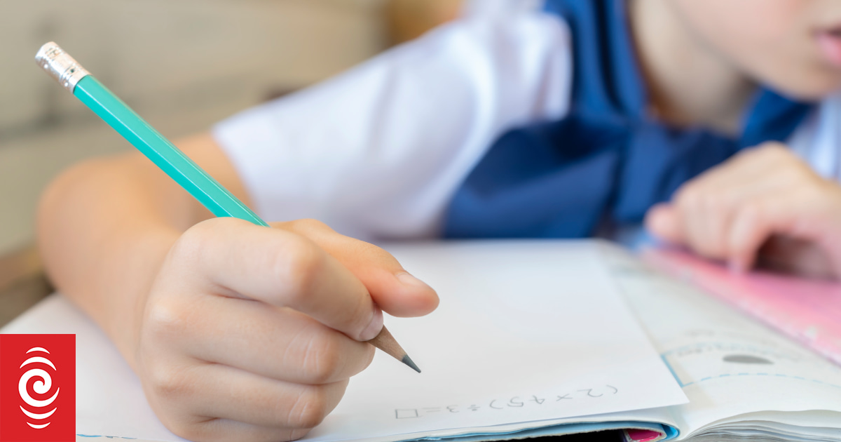 Experts urge overhaul of school system following falling student ...