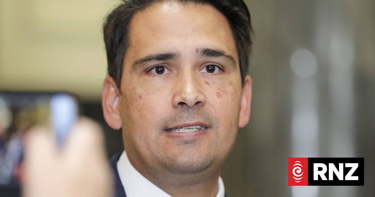 Simon Bridges defends $113k expenses bill | RNZ