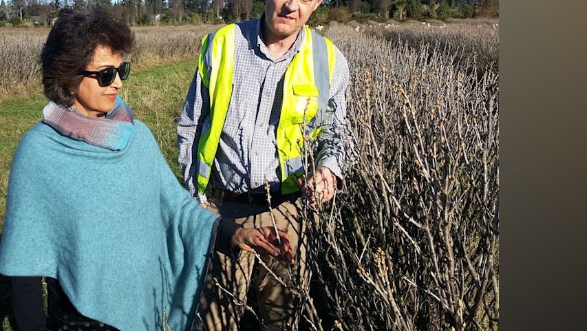 Country Life for Friday 17 August 2018 Country Life | RNZ
