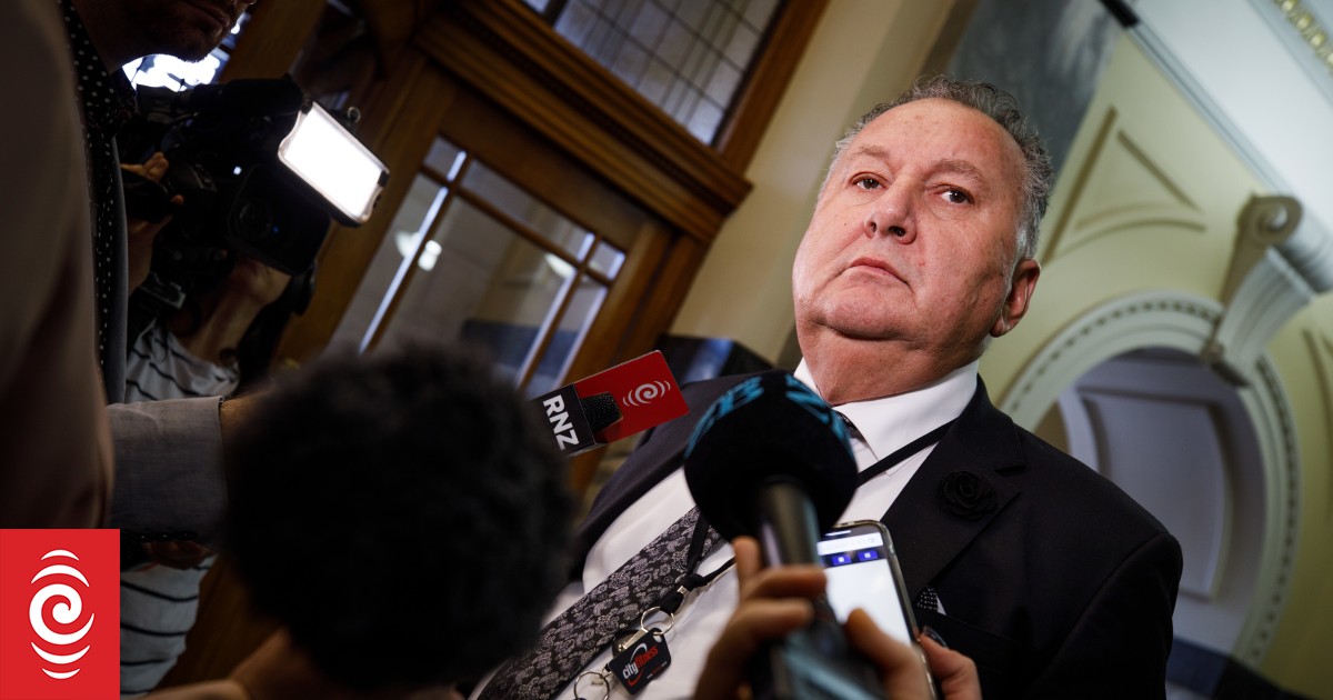 Shane Jones defends links to industry and diary omission | RNZ News