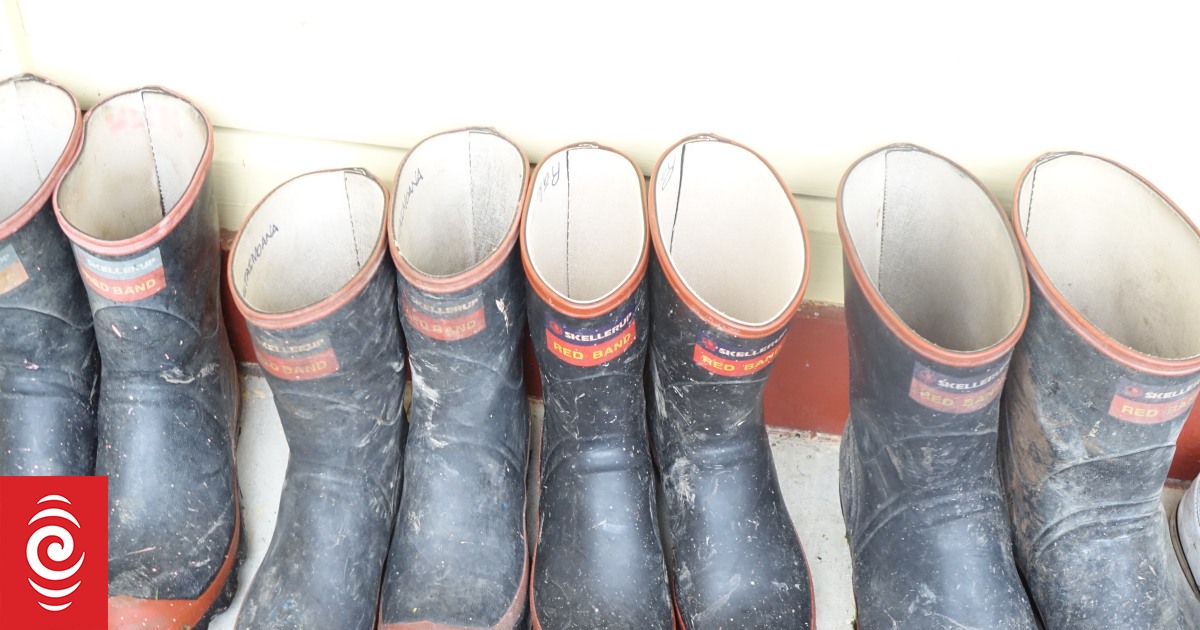 Skellerup posts net profit of almost $47m | RNZ News