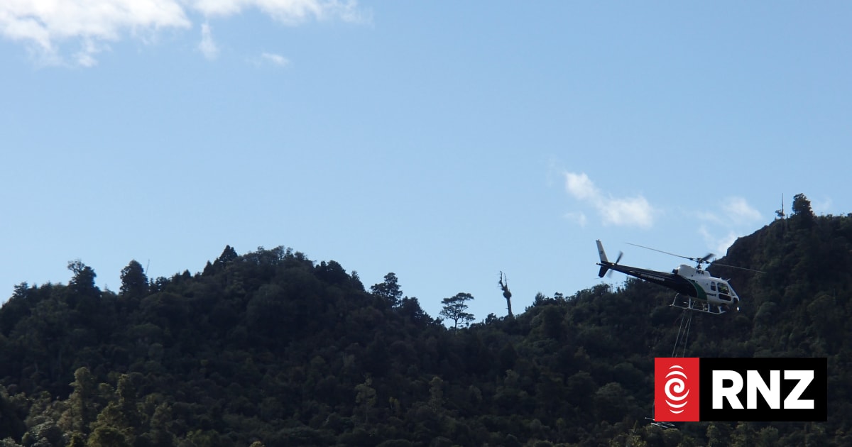 Detectives study anti-1080 threat letter | RNZ