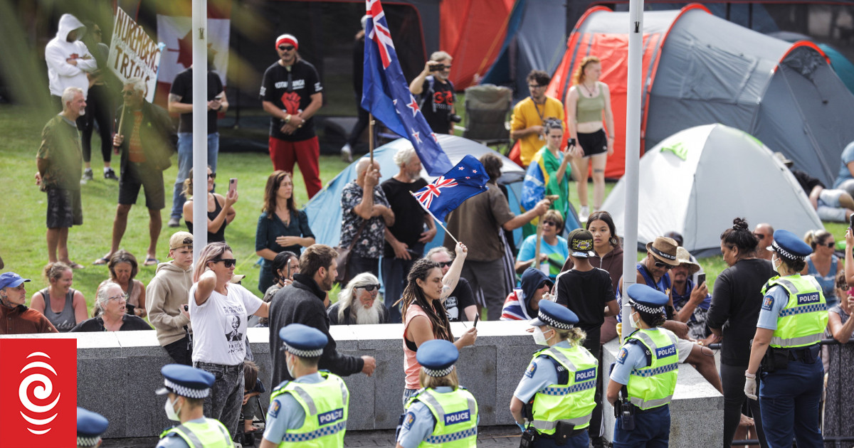 IPCA finds 6 cases of excessive force during Parliament occupation ...