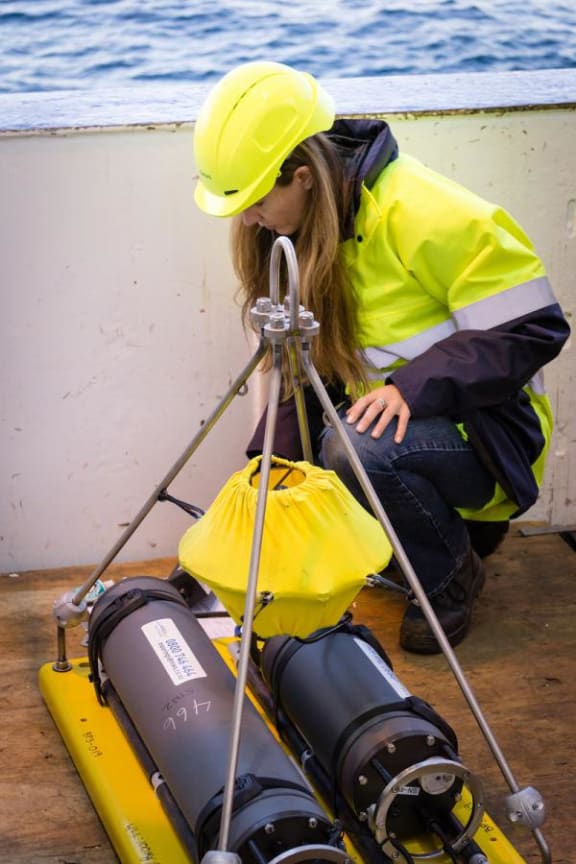 Eavesdropping in Cook Strait | RNZ