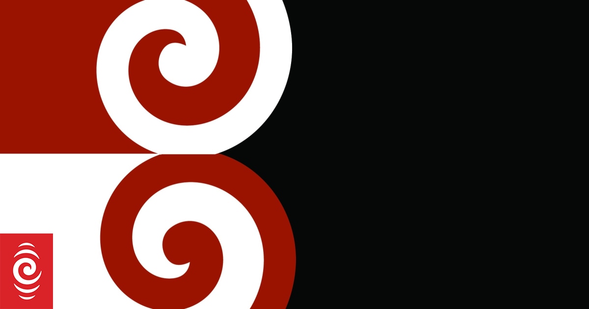 Best and worst New Zealand flag designs | RNZ News