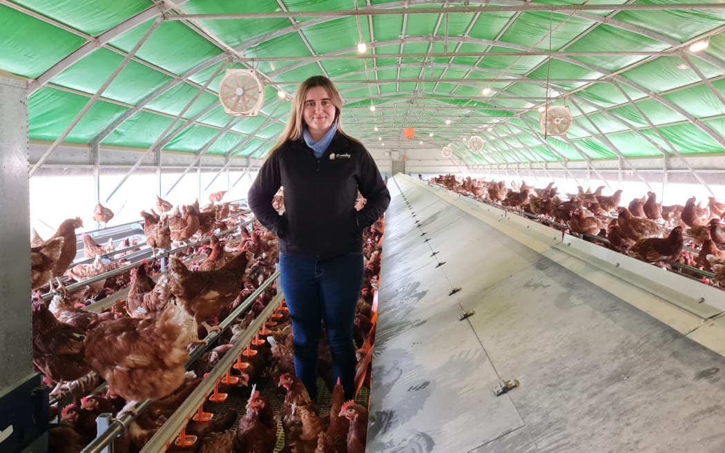 All the eggs in one basket at poultry farm after rebranding | RNZ