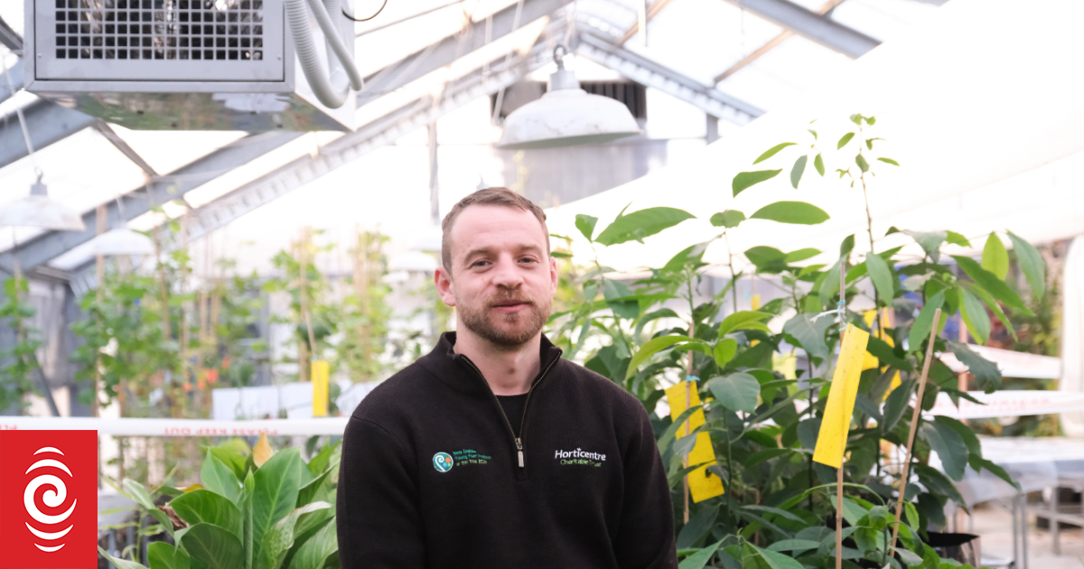 Plant production 'one of the most underrated horticultural sectors ...