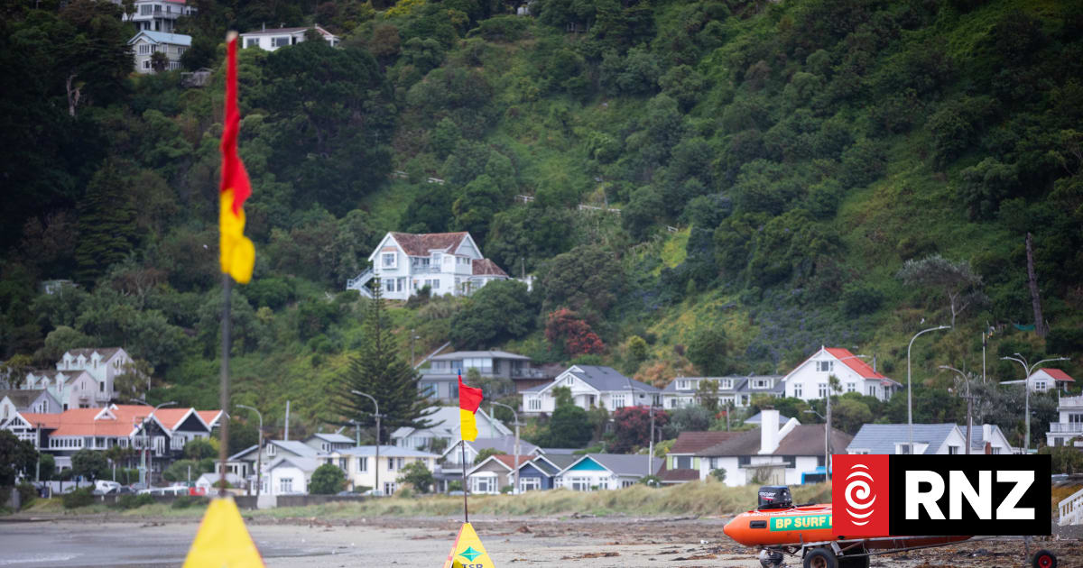 Councils urged to take proactive approach to water safety | RNZ