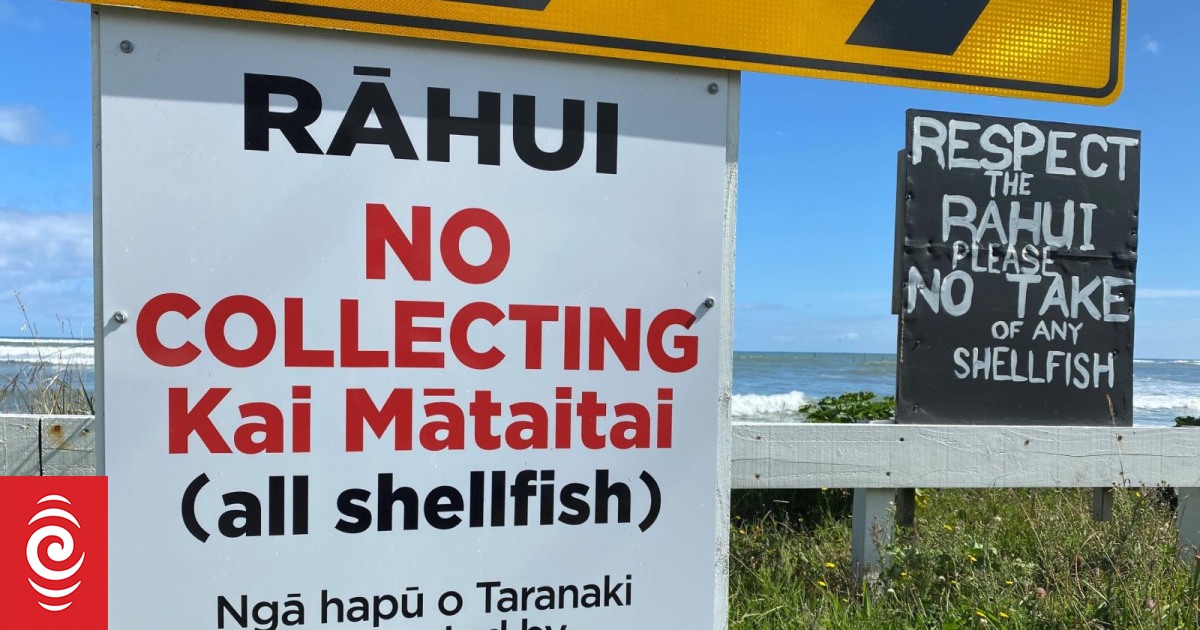 Lost species, missing seaweed, dead eels: 40 years on the Taranaki ...