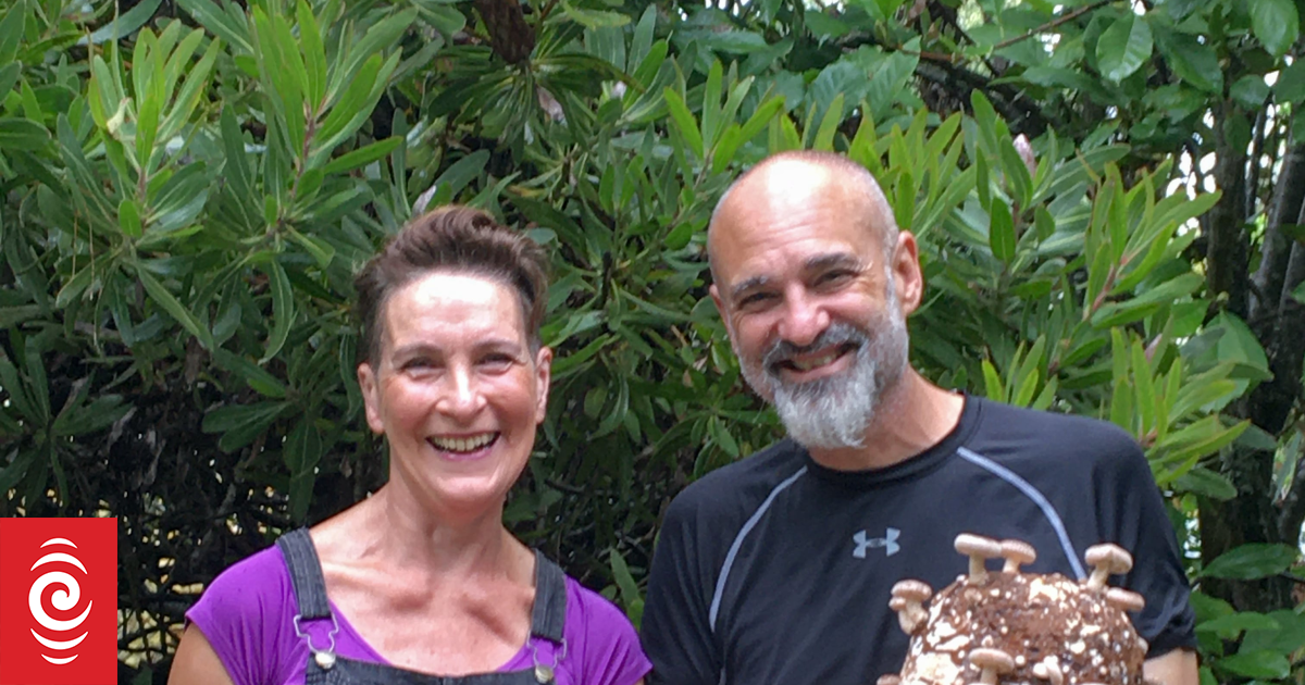 Levin farmers launch mushroom coffee | RNZ News