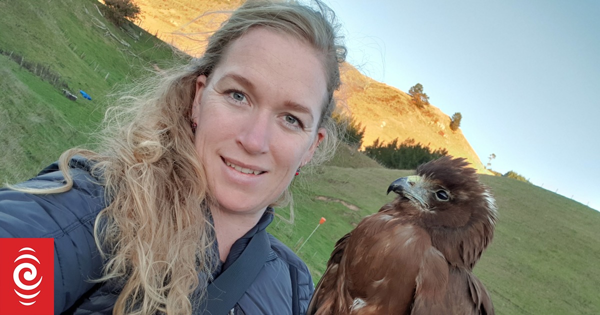 Expert Feature: Falconry | RNZ