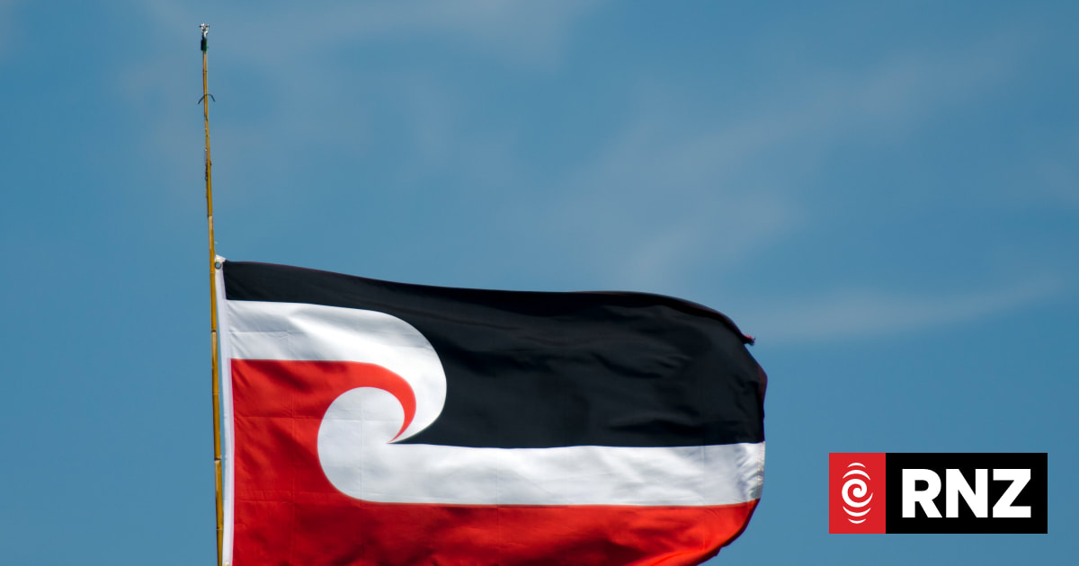 Council rejects iwi call for Māori-only say on wards | RNZ