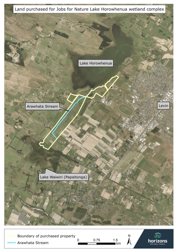 Bid to restore Lake Horowhenua with new wetland project | RNZ News