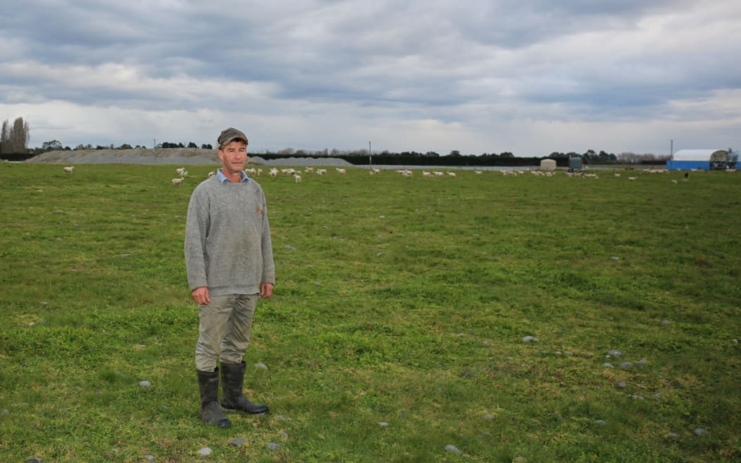 Lambing's taking off on end of runway farm | RNZ
