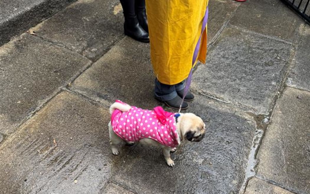Thousands of people gather at vigil for slain police officer in central ...