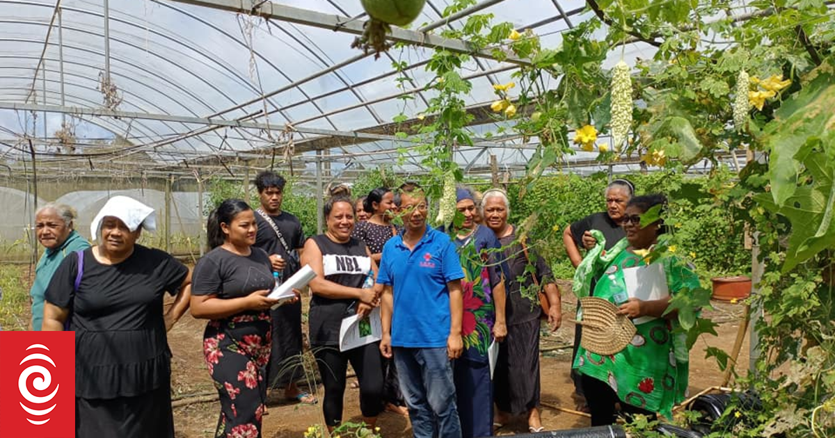 Tonga bets on China deal to modernise farming ahead of general election ...