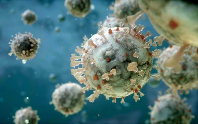 Covid-19 update: 9975 new cases, 33 virus-related deaths and 111 in ...