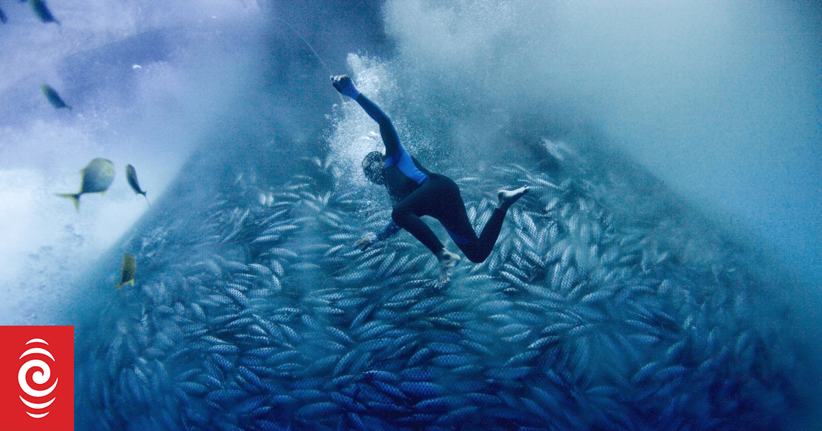 Fatal Watch: Tim McKinnel and Bubba Cook on the dark underbelly of tuna ...