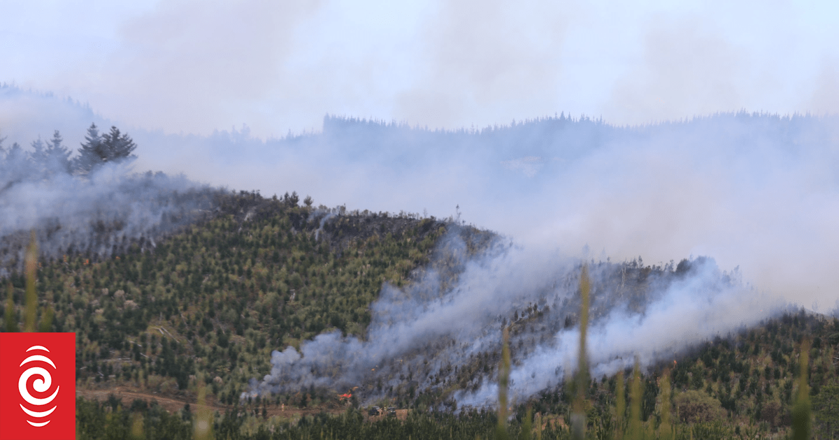 Total fire ban imposed across much of Northland as Waipoua forest ...