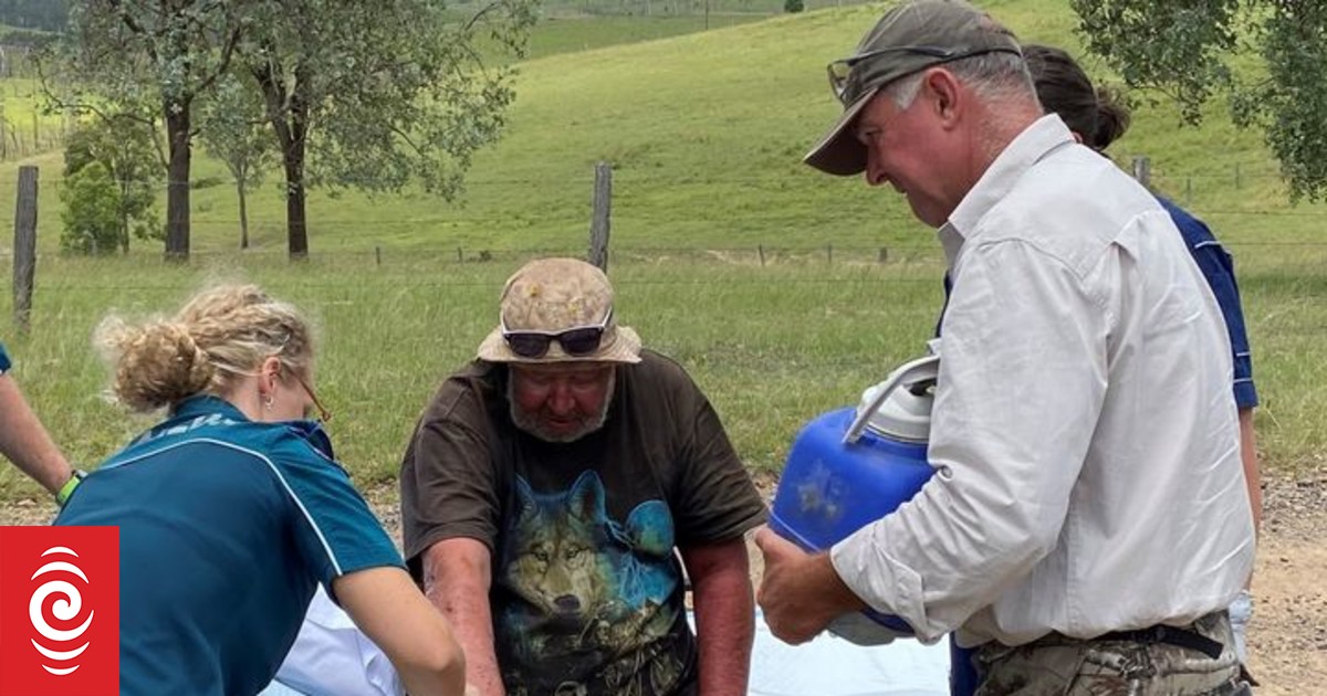 Australian man missing for 18 days 'survived on mushrooms' | RNZ News