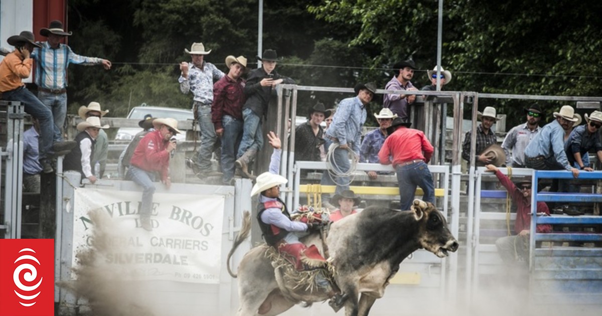 Rodeo event heading back to Hawke's Bay after 16 years | RNZ News