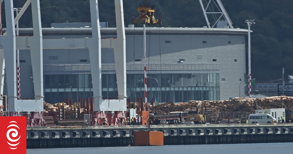 Port recovers rogue container | RNZ News