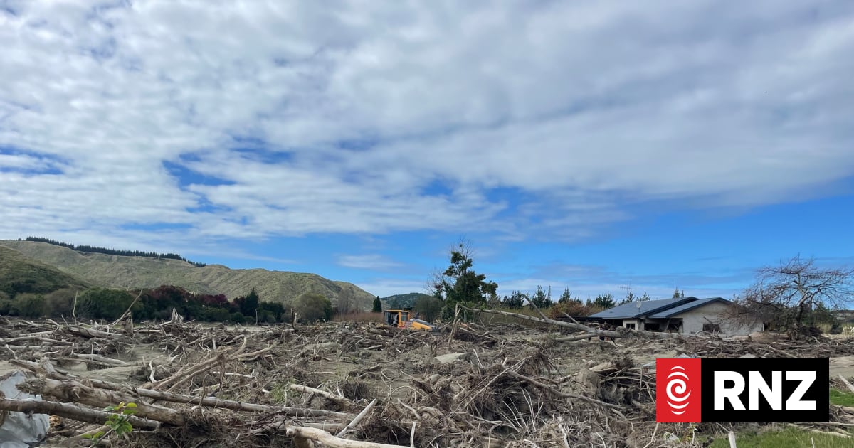 Cyclone Gabrielle exposed the risks of forestry slash. New research ...