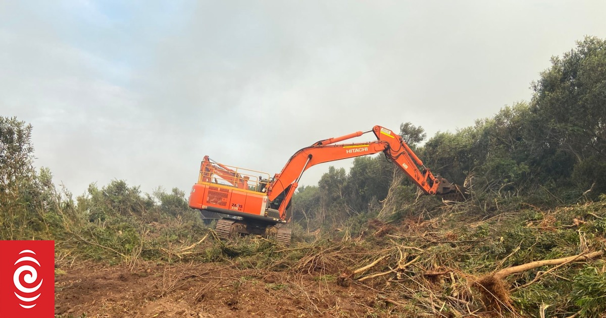 Kaimaumau fire labelled an ecological 'catastophic disaster' for near ...